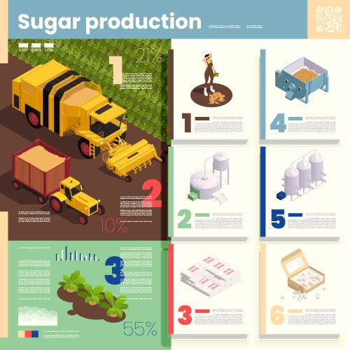 A digram of sugar production Royalty Free Vector Image