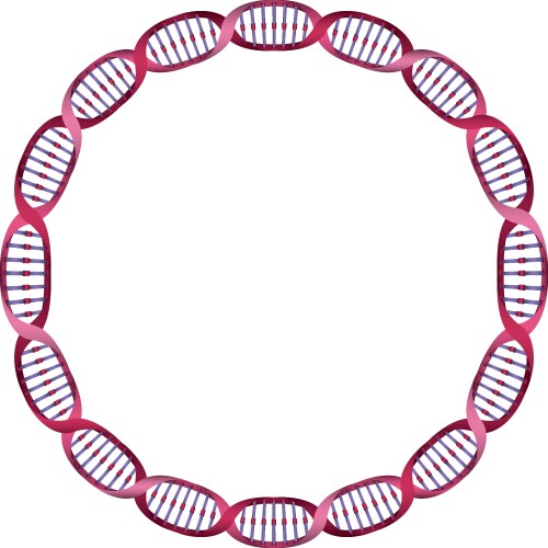 Circular DNA Strand Icon Royalty Free Vector Image