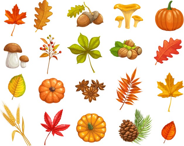Fall Vector Images (over 520,000)