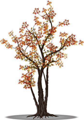 Tree in japanese style watercolor Royalty Free Vector Image