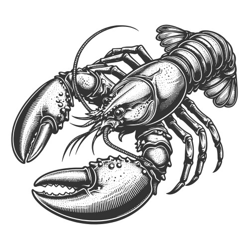 Ink sketch of lobster Royalty Free Vector Image