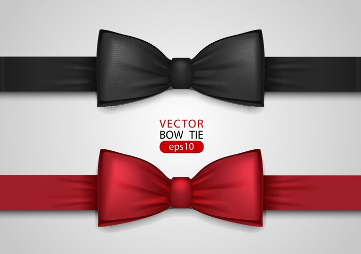 Realistic bow tie Royalty Free Vector Image - VectorStock