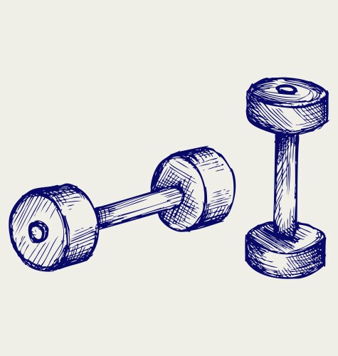 Sketch dumbbell weight Royalty Free Vector Image