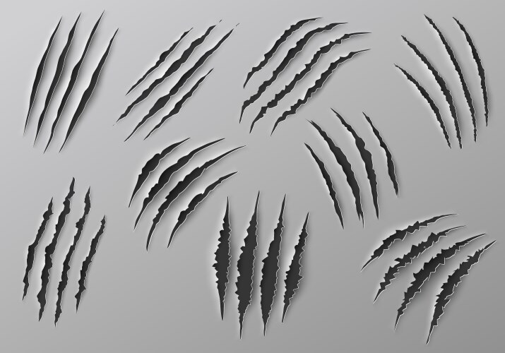 Lion Scratch Vector Images (over 760)