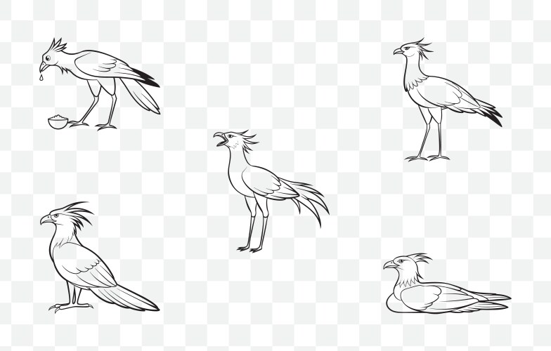 Secretary Bird Vector Images (over 110)