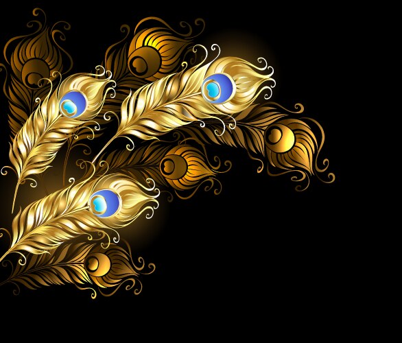 Golden peacock feather Royalty Free Vector Image