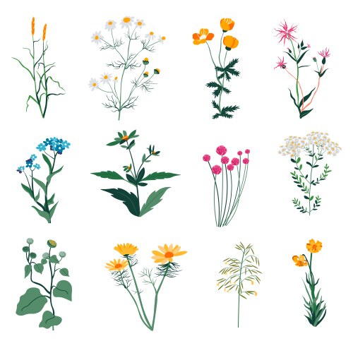 Bloom Vector Images (over 340,000)