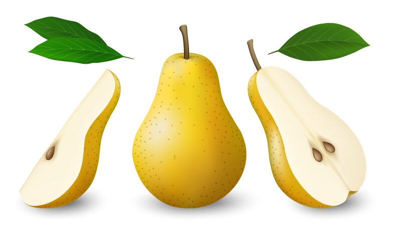 Realistic fresh pear with leaf green fruit Vector Image