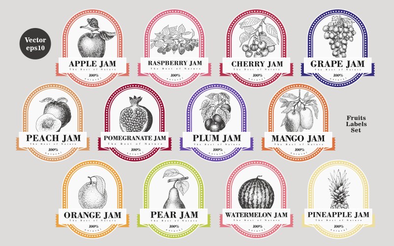 Vintage fruit labels on transparent background Vector Image