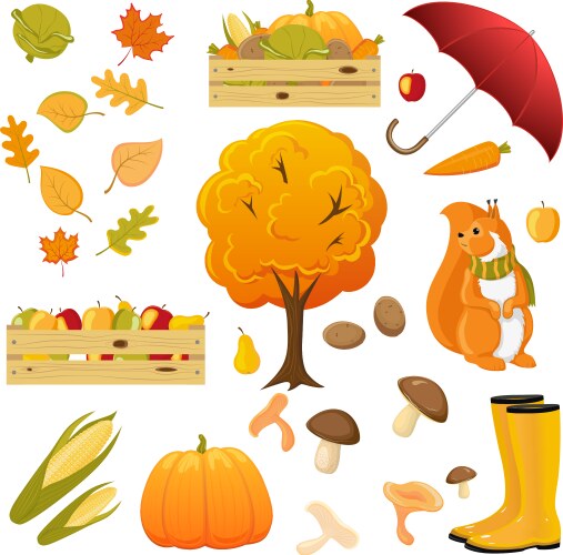 Set of elements and items that represent autumn Vector Image