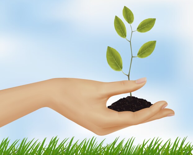 Hand Holding Plant Vector Images (over 11,000)