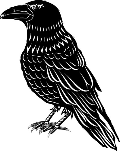 Engraving drawing of big crow Royalty Free Vector Image
