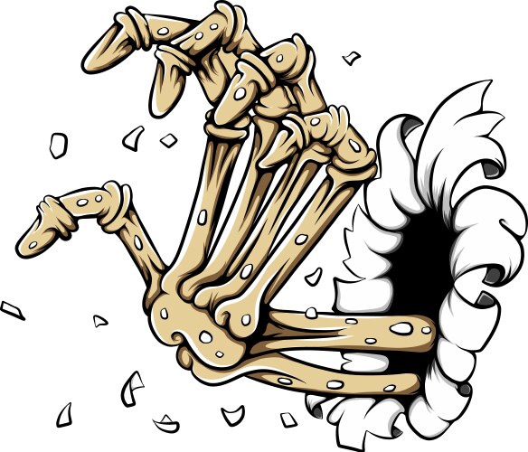 Human Hand Anatomy - Bone Structure – Royalty-Free Vector | VectorStock