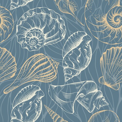 Shell set Royalty Free Vector Image - VectorStock