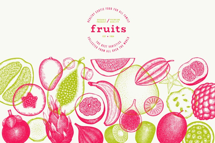 Tropical fruit design template hand drawn exotic Vector Image