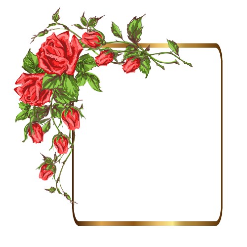 Flowers square frame card template with blooming Vector Image