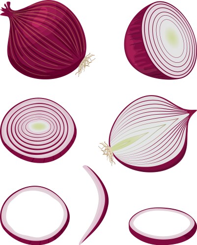 Isolated red onion cartoon Royalty Free Vector Image