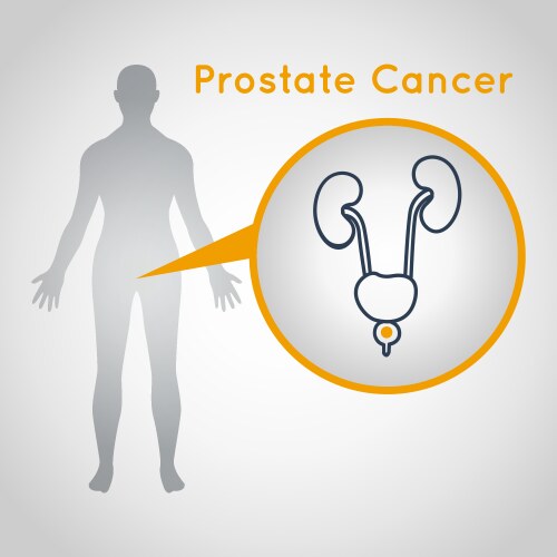 Prostate Cancer Awareness Logo Vector Images (over 320)