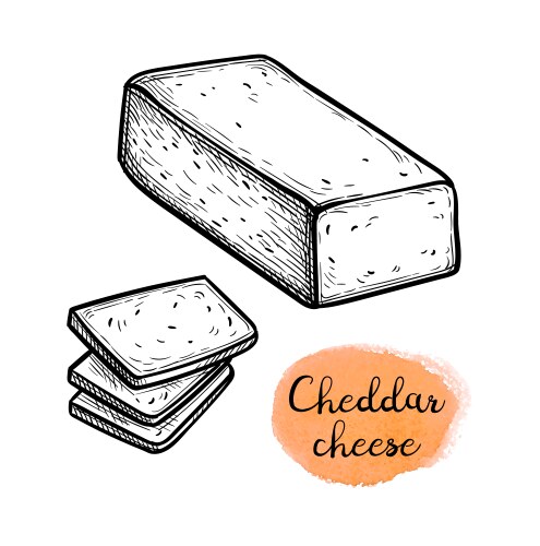 White Cheddar Cheese Vector Images (over 11,000)