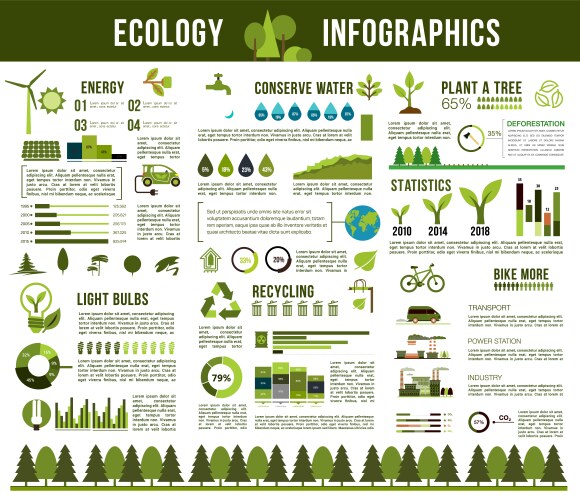 Earth day ecological infographic template design Vector Image