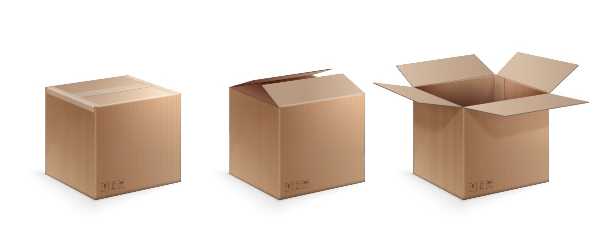 Three position of cardboard box opened covered Vector Image