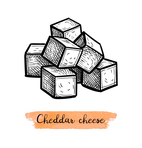 White Cheddar Vector Images (over 13,000)
