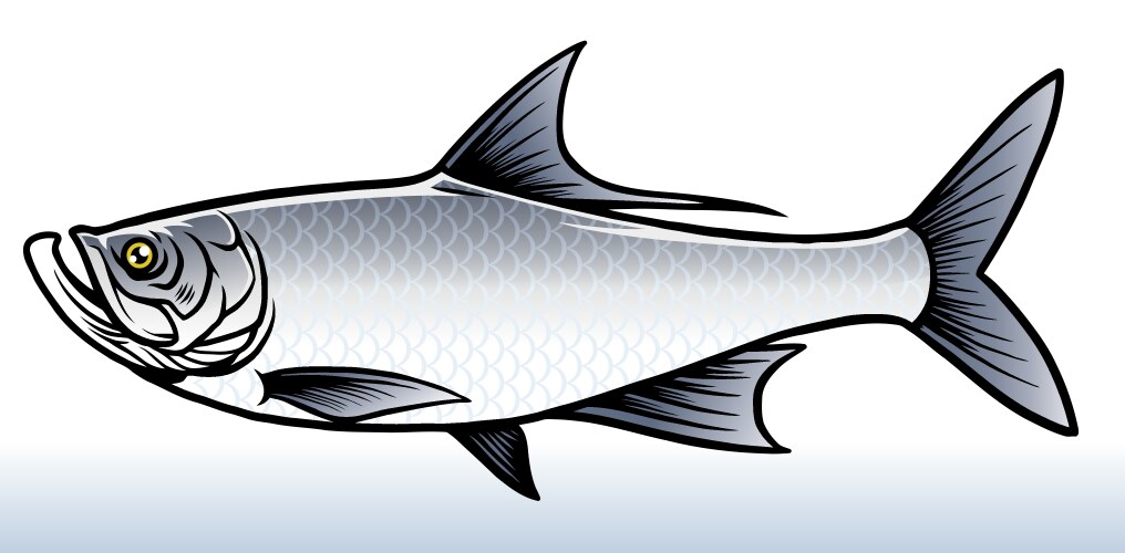 Fish Bones Vector Images (over 14,000)