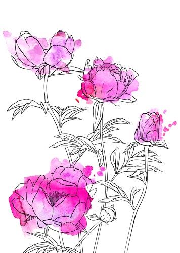 Drawing flowers Royalty Free Vector Image - VectorStock