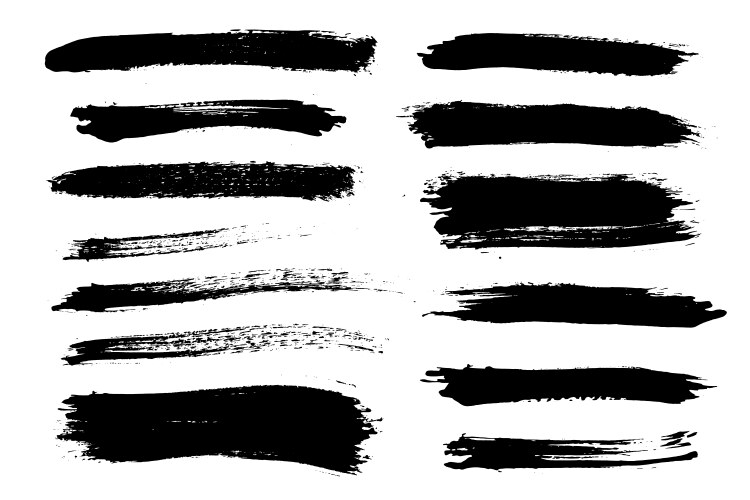 Brush stroke Royalty Free Vector Image - VectorStock