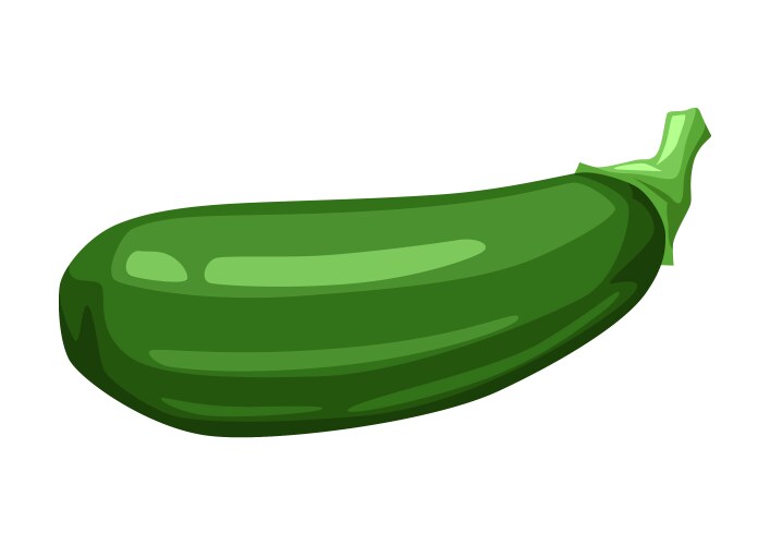 Zucchini vegetable cartoon Royalty Free Vector Image