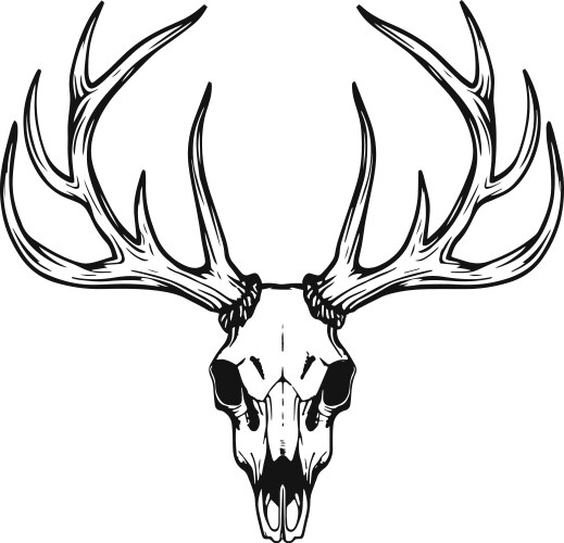 Black and White Elk Skull Vector Images (over 770)