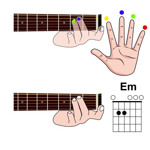 Guitar chord basic and hand position for ch Vector Image