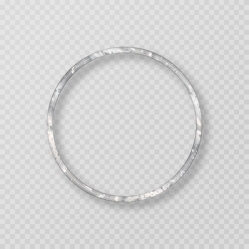 Metallic silver circle frame with text space Vector Image