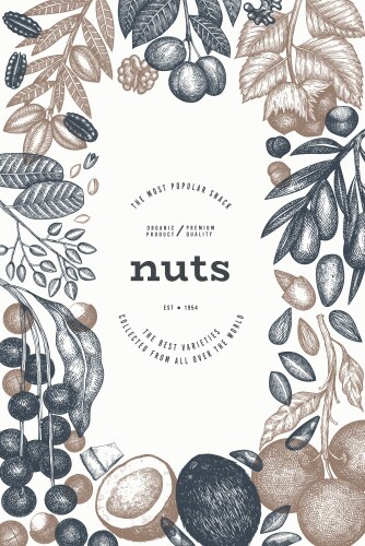 Nuts frame design hand drawn pecan macadamia pine Vector Image