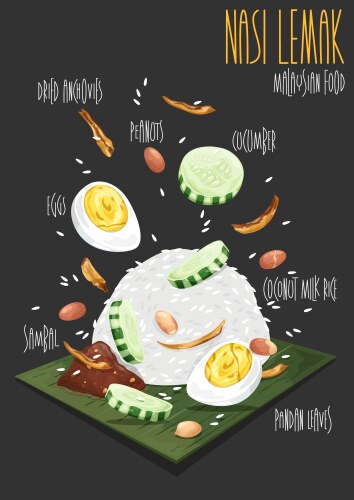 Nasi Lemak Vector Images (over 100)