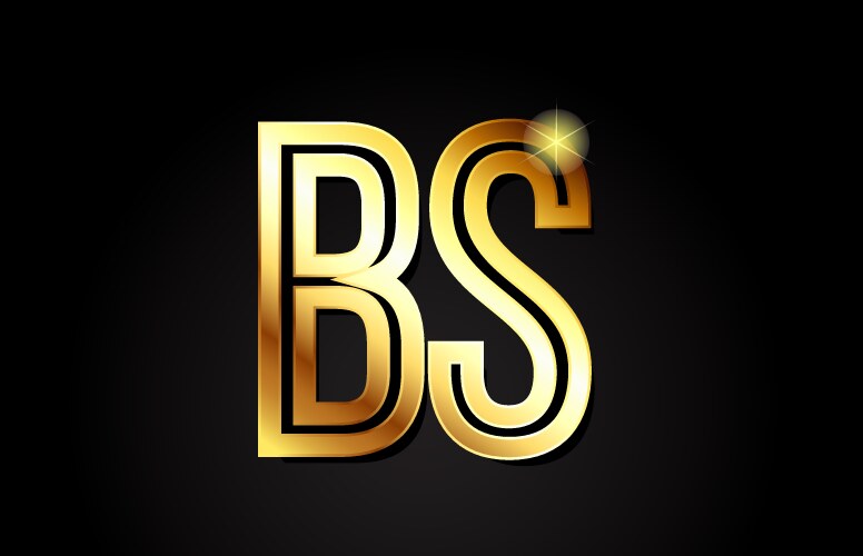 Alphabet letter combination bs b s with grunge Vector Image