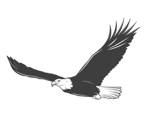 Eagle Vector Images (over 78,000)