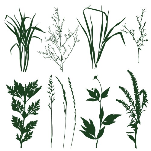 Plants Outline Vector Images (over 370,000)