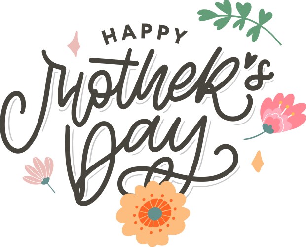 Elegant greeting card design with stylish text Vector Image