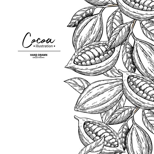 Cocoa frame superfood drawing template Royalty Free Vector