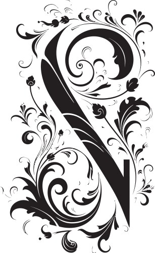 Letter N Font Calligraphy Vector Images (over 9,300)