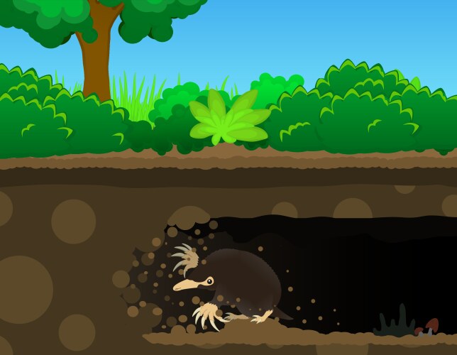 Cartoon Mole Vector Images (over 1,200)