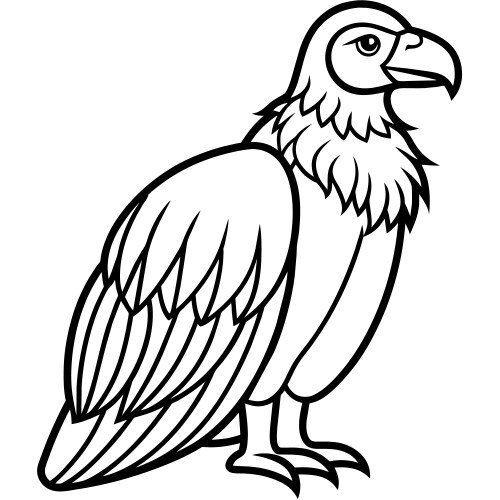 Condor Andean Bird Vector Images (over 120)