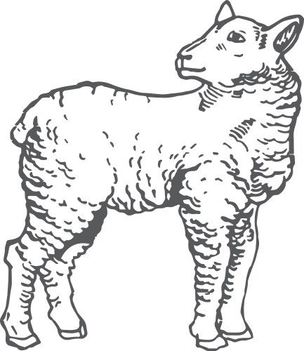 Lamb Vector Images (over 34,000)