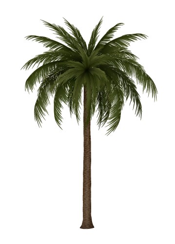 Date tree icon Royalty Free Vector Image - VectorStock