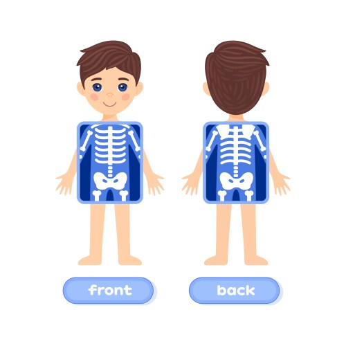 Human respiratory system and kid body template Vector Image