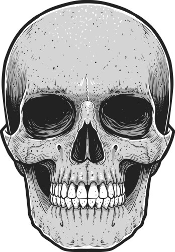 Skull Vector Images (over 220,000)