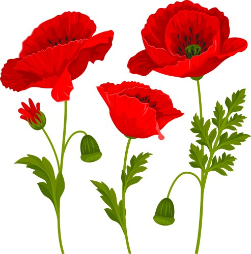 Red Flower Cartoon Vector Images (over 44,000)