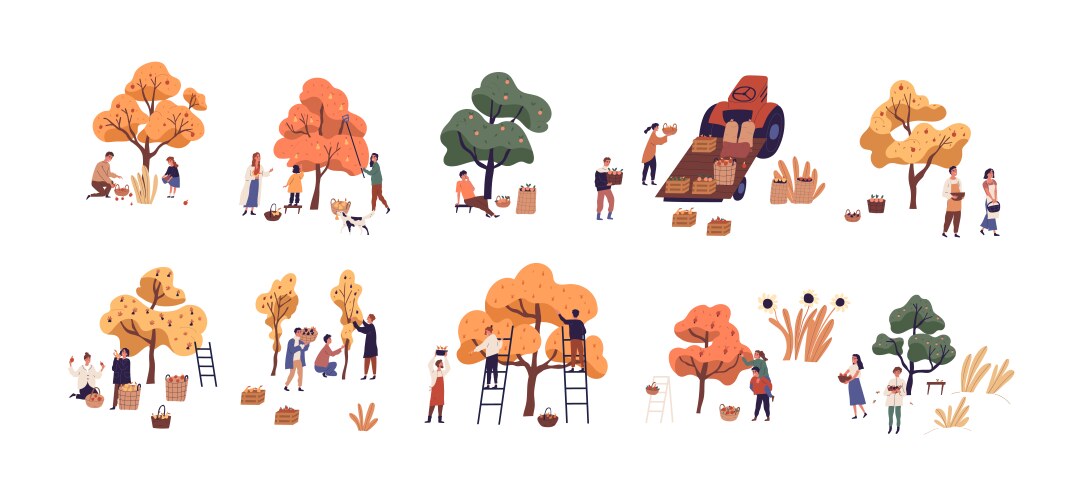 Boy Picking Vector Images (over 950)