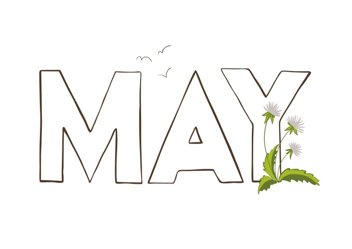 May month name Royalty Free Vector Image - VectorStock